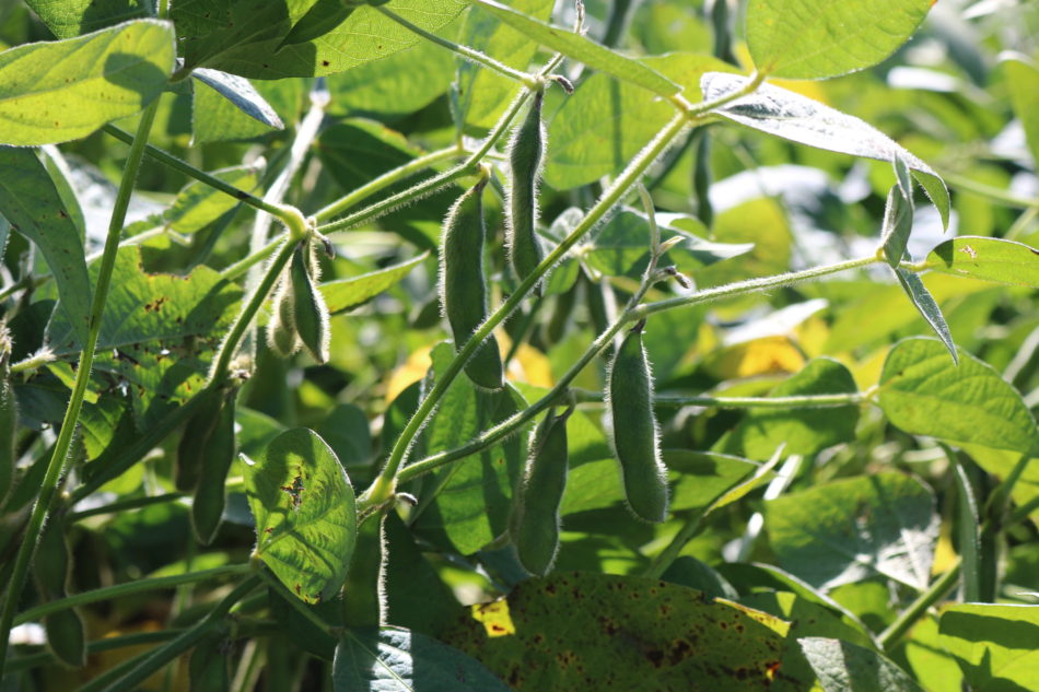 Practices Overview – Transforming Drainage