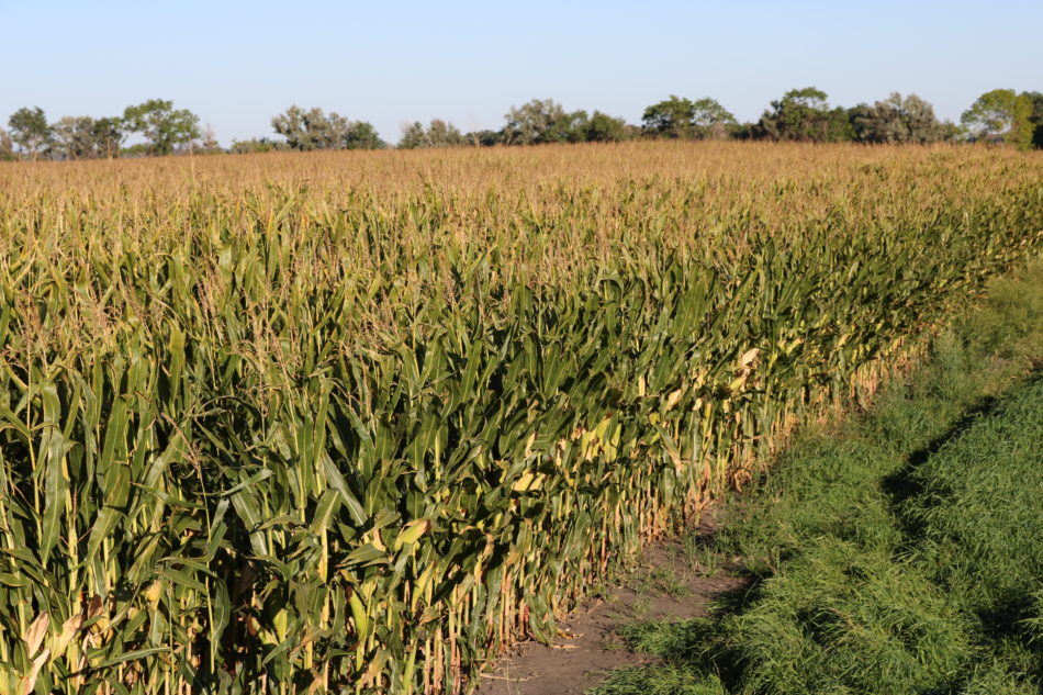 Practices Overview – Transforming Drainage